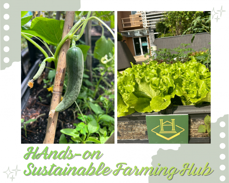 Cultivating Leadership through Green Practices | Honours Academy