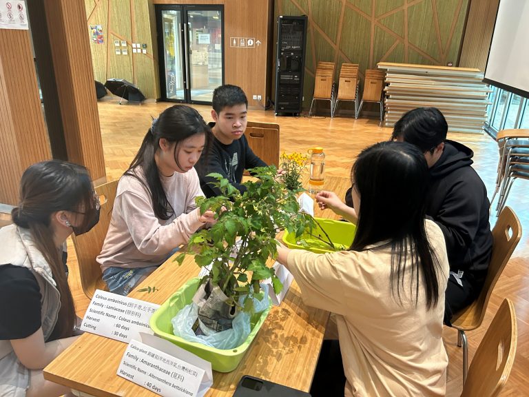 Cultivating Leadership through Green Practices | Honours Academy